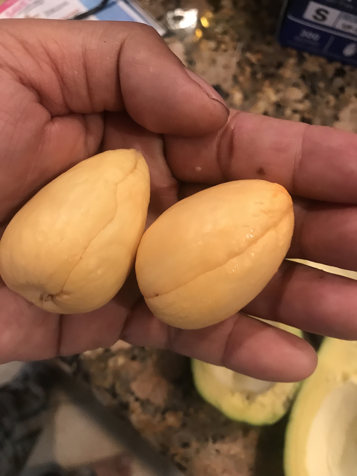 The amazing Duke Avocado - General Fruit Growing - Growing Fruit