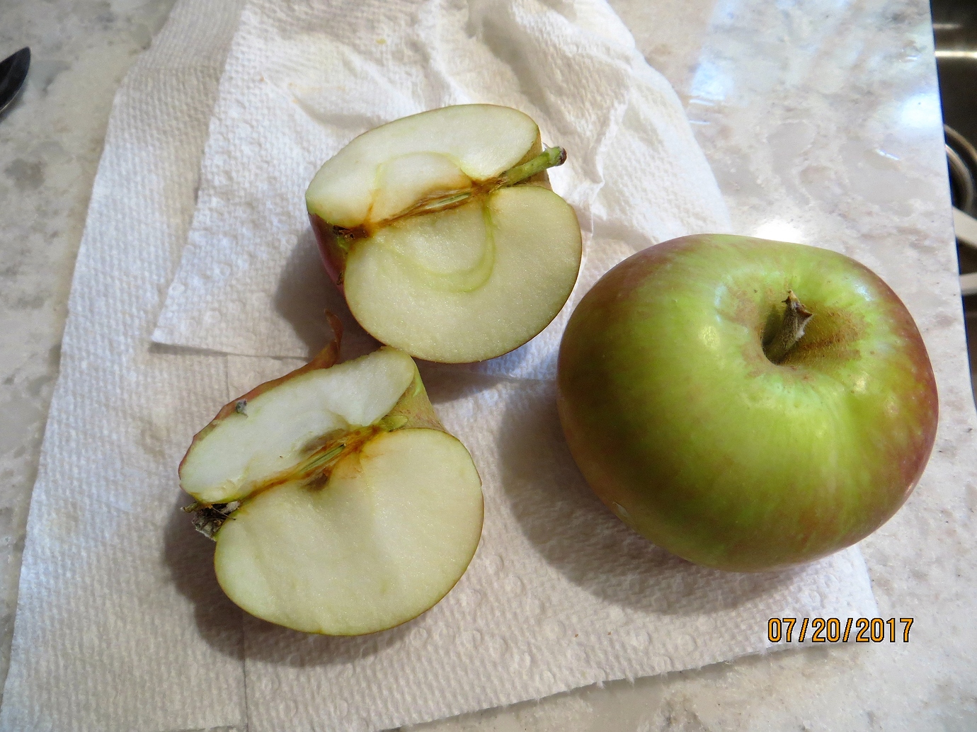 Apple Identification - General Fruit Growing - Growing Fruit