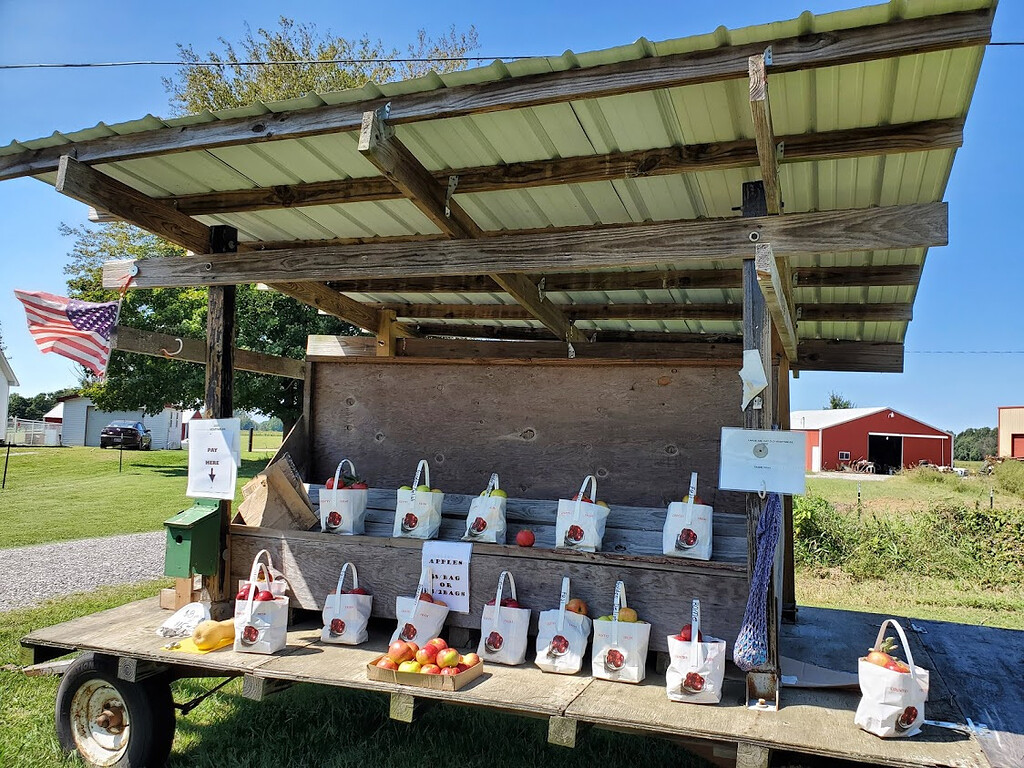 I am finally doing it! (honor system Fruit stand) - General Fruit ...