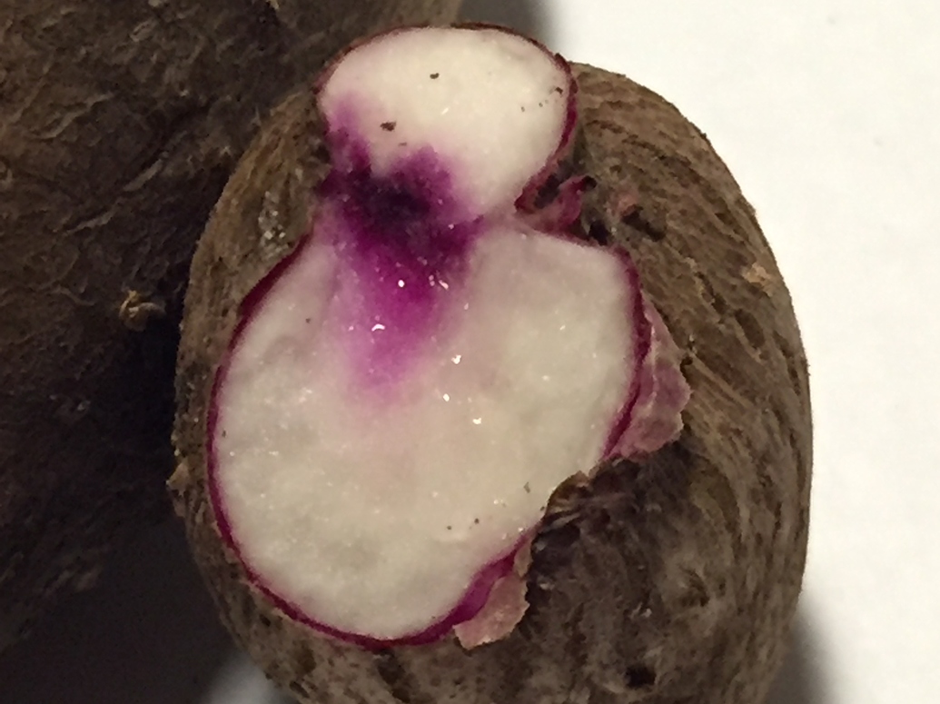 Purple yams - General Gardening - Growing Fruit