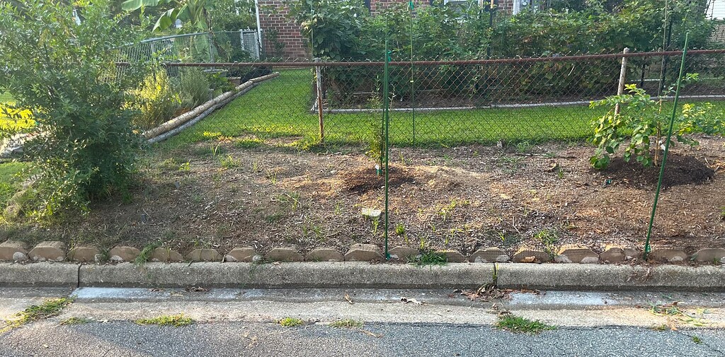 Tree spacing - General Fruit Growing - Growing Fruit