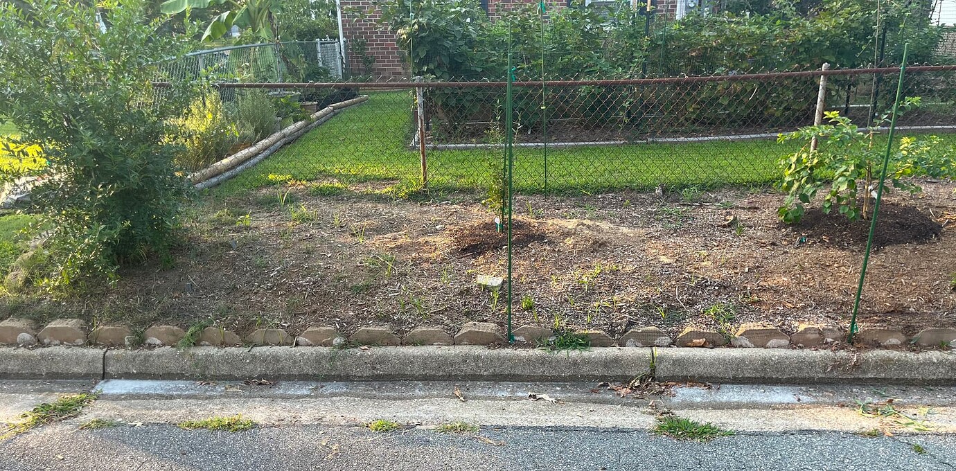 Tree Spacing General Fruit Growing Growing Fruit