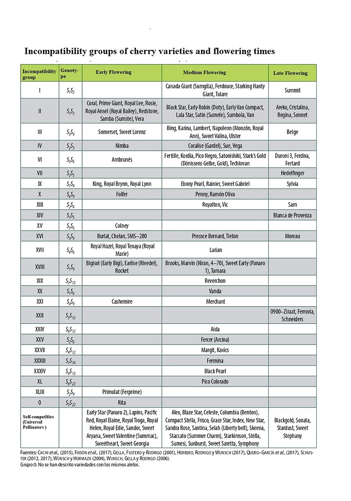 Cherry pollination, and considerations to take into account - General ...