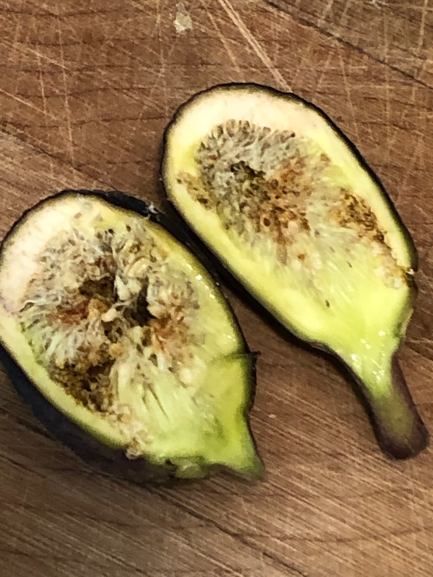 New fig pest in SoCal (black fig fly) - Page 2 - General Fruit Growing ...