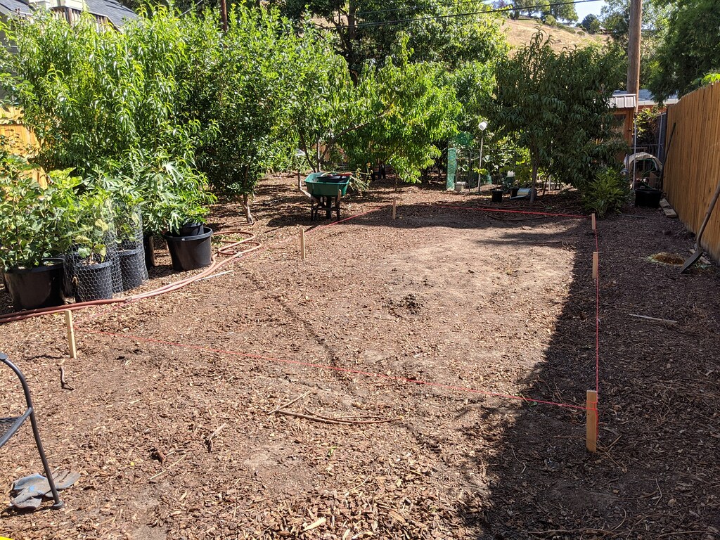 Building a Greenhouse - General Fruit Growing - Growing Fruit