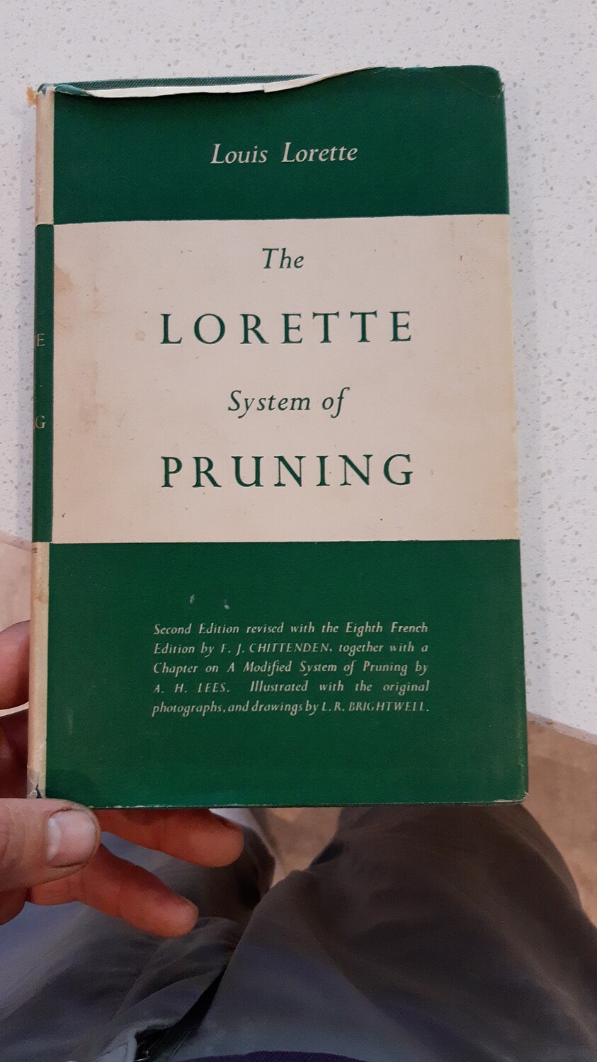 Lorette System of Pruning - General Fruit Growing - Growing Fruit