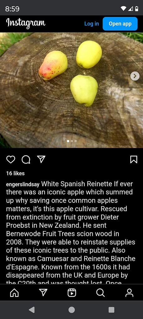 Warm climate apple? - General Fruit Growing - Growing Fruit