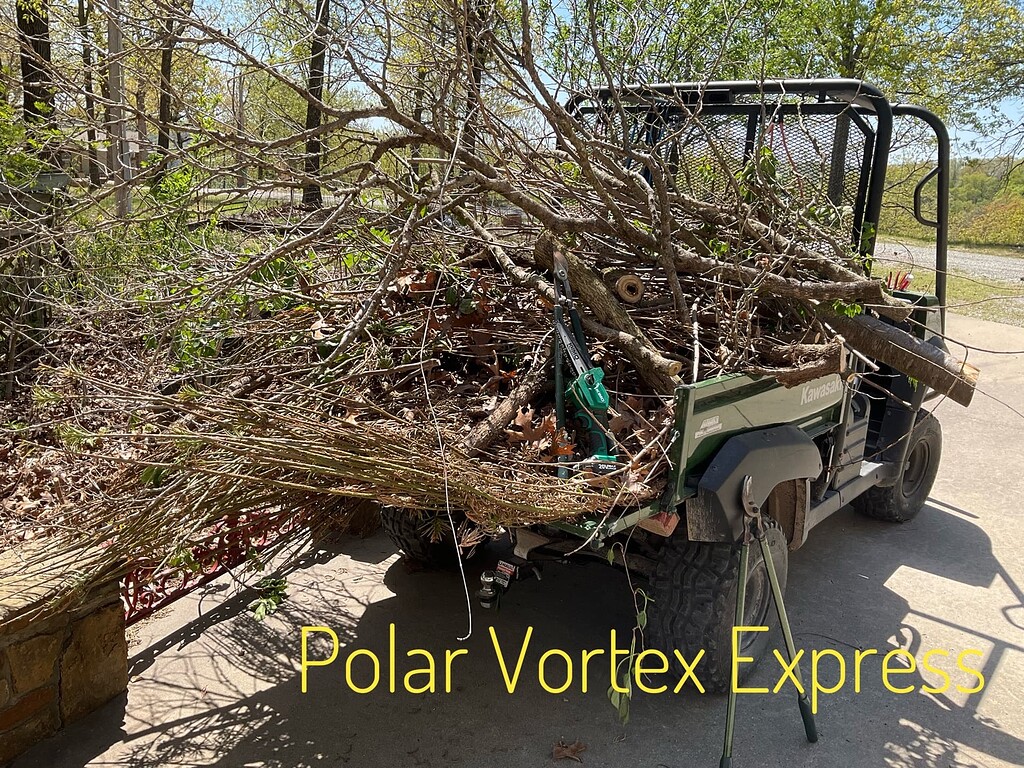 Polar Vortex cleanup time - General Fruit Growing - Growing Fruit