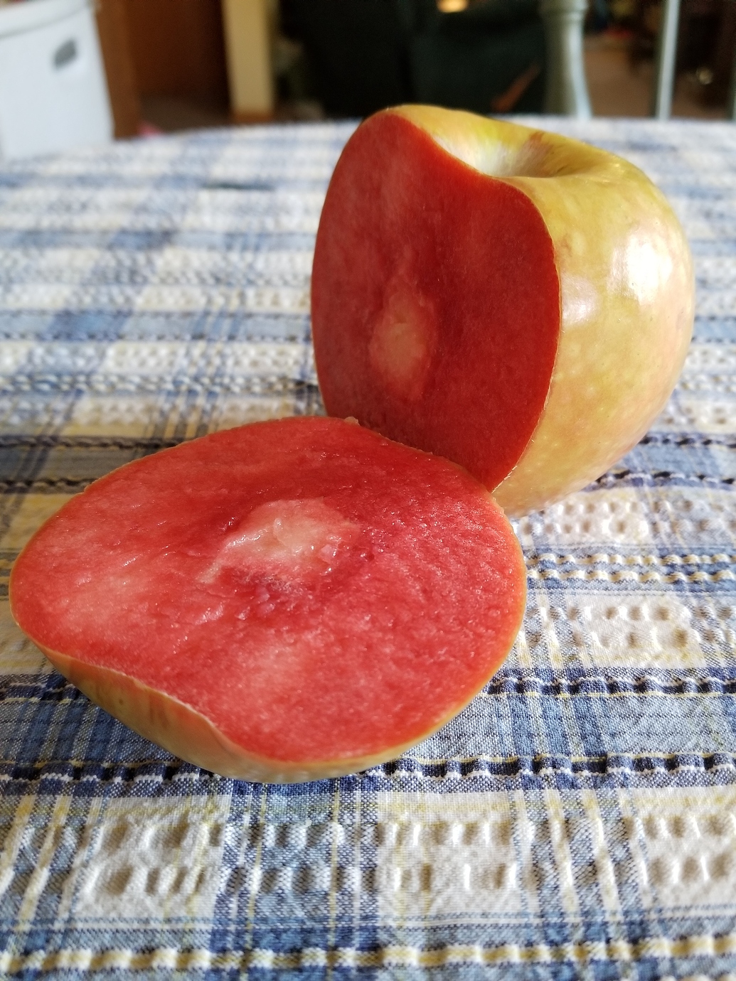 Lucy Glo Apple - General Fruit Growing - Growing Fruit