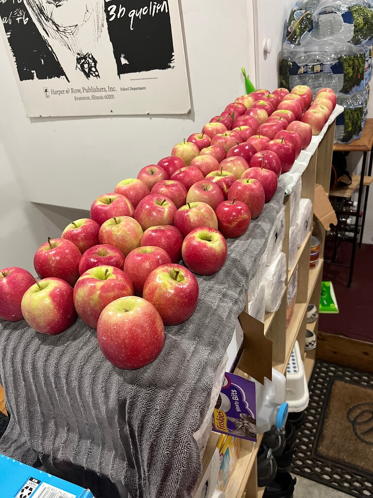Pink Lady Apples in 5B Central Illinois - Ripening Time? - General ...