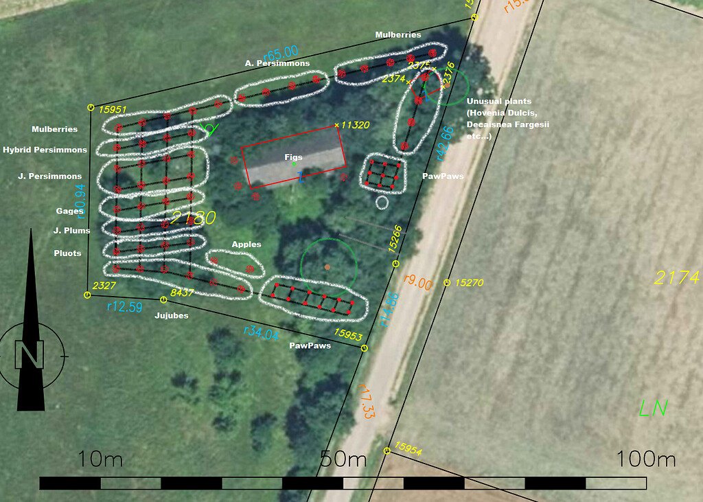Planning an Orchard - General Fruit Growing - Growing Fruit