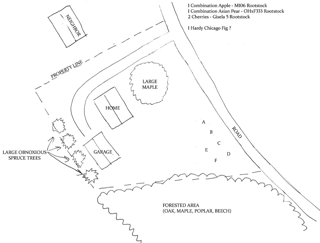 Advice on Tree Placement - General Fruit Growing - Growing Fruit