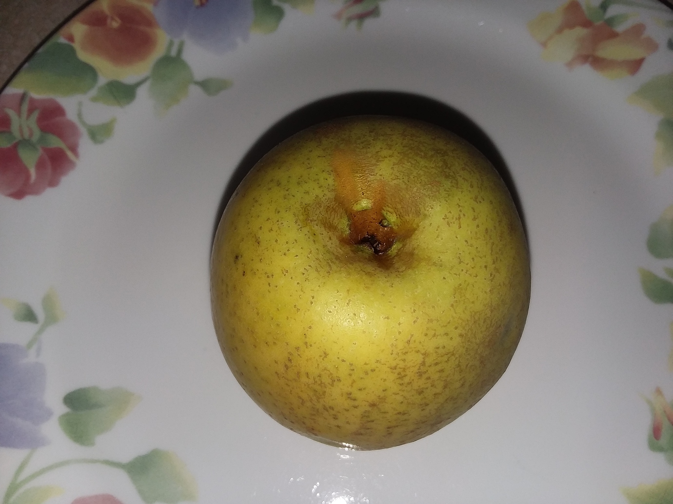 Ripe before its time - General Fruit Growing - Growing Fruit