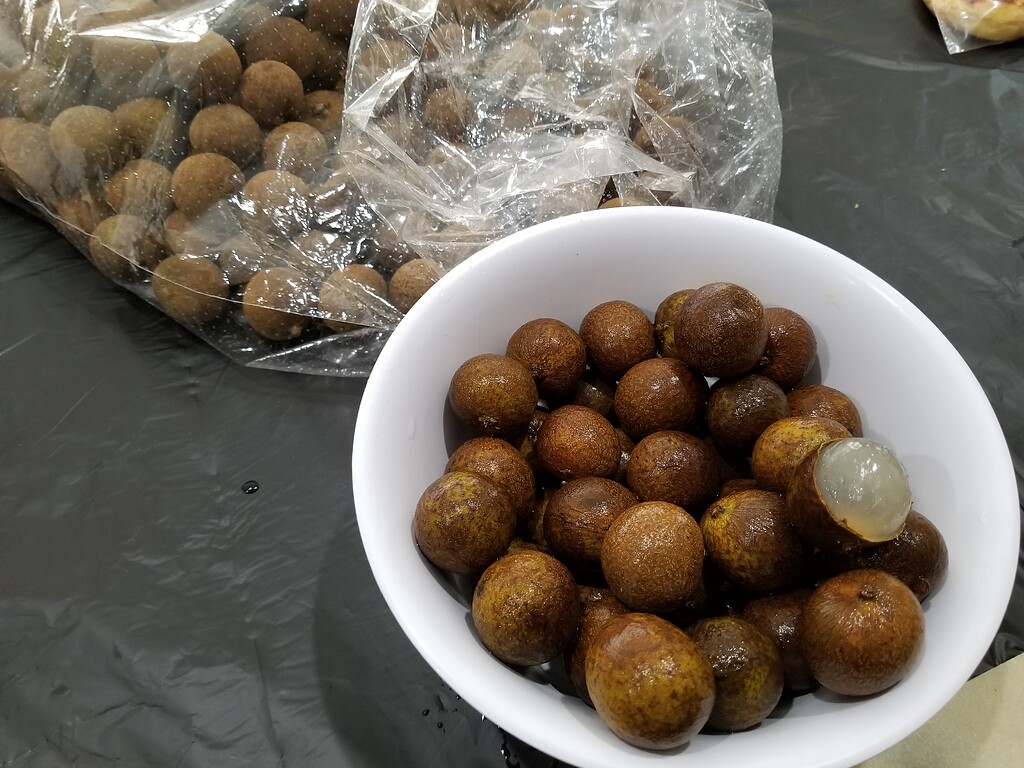 Hawaii Longan. I just can't pass up! - General Fruit Growing - Growing ...