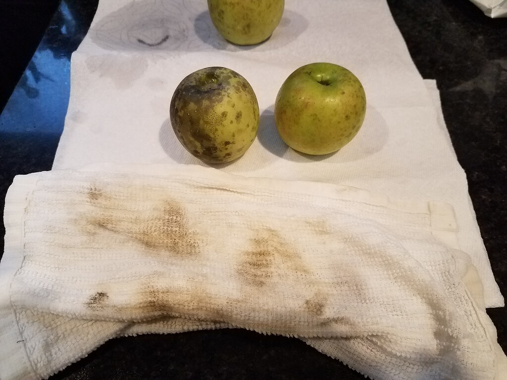 Residue on apples - General Fruit Growing - Growing Fruit
