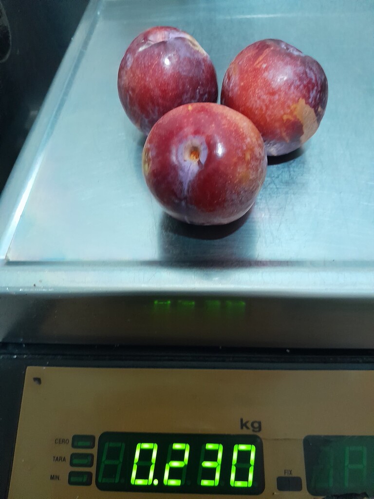 Flavor Gem pluot in Spain - General Fruit Growing - Growing Fruit