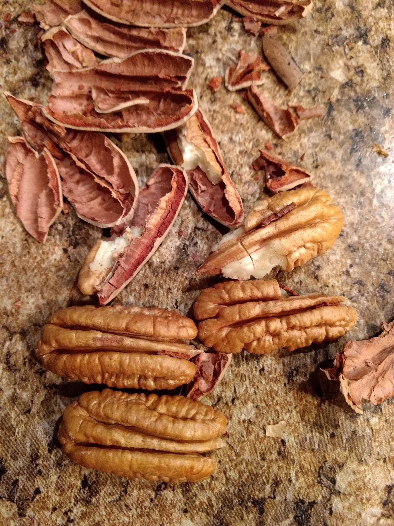 Pecan - Page 29 - General Fruit Growing - Growing Fruit