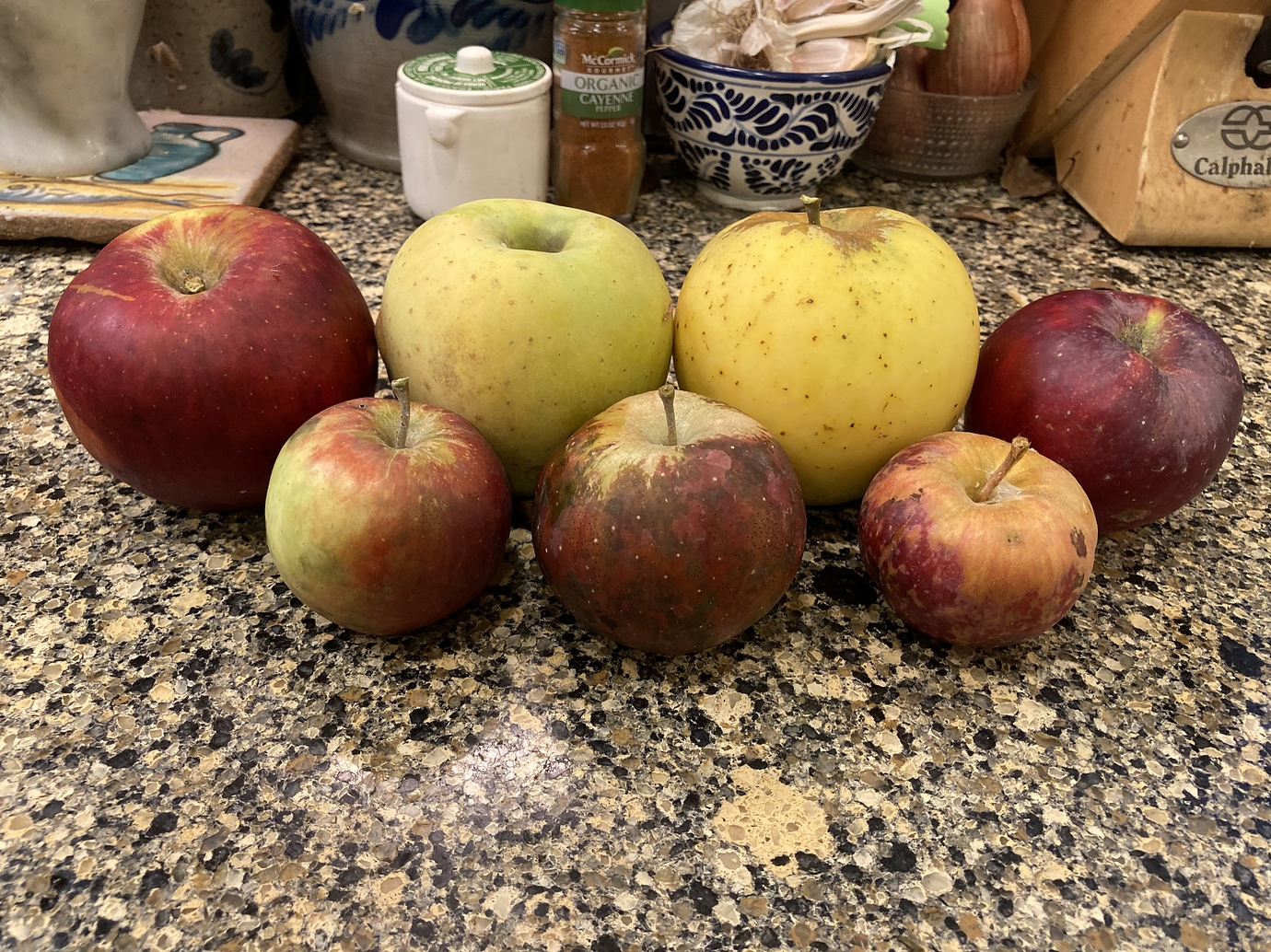 Request for pictures of "average apples" - General Fruit Growing ...