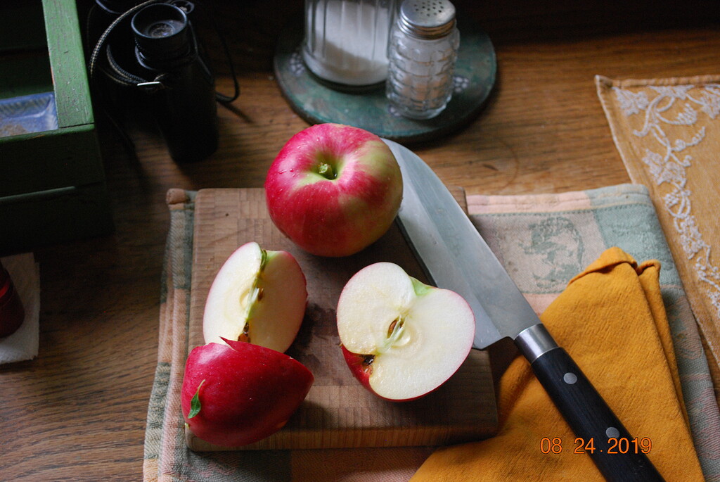 State Fair apple - General Fruit Growing - Growing Fruit