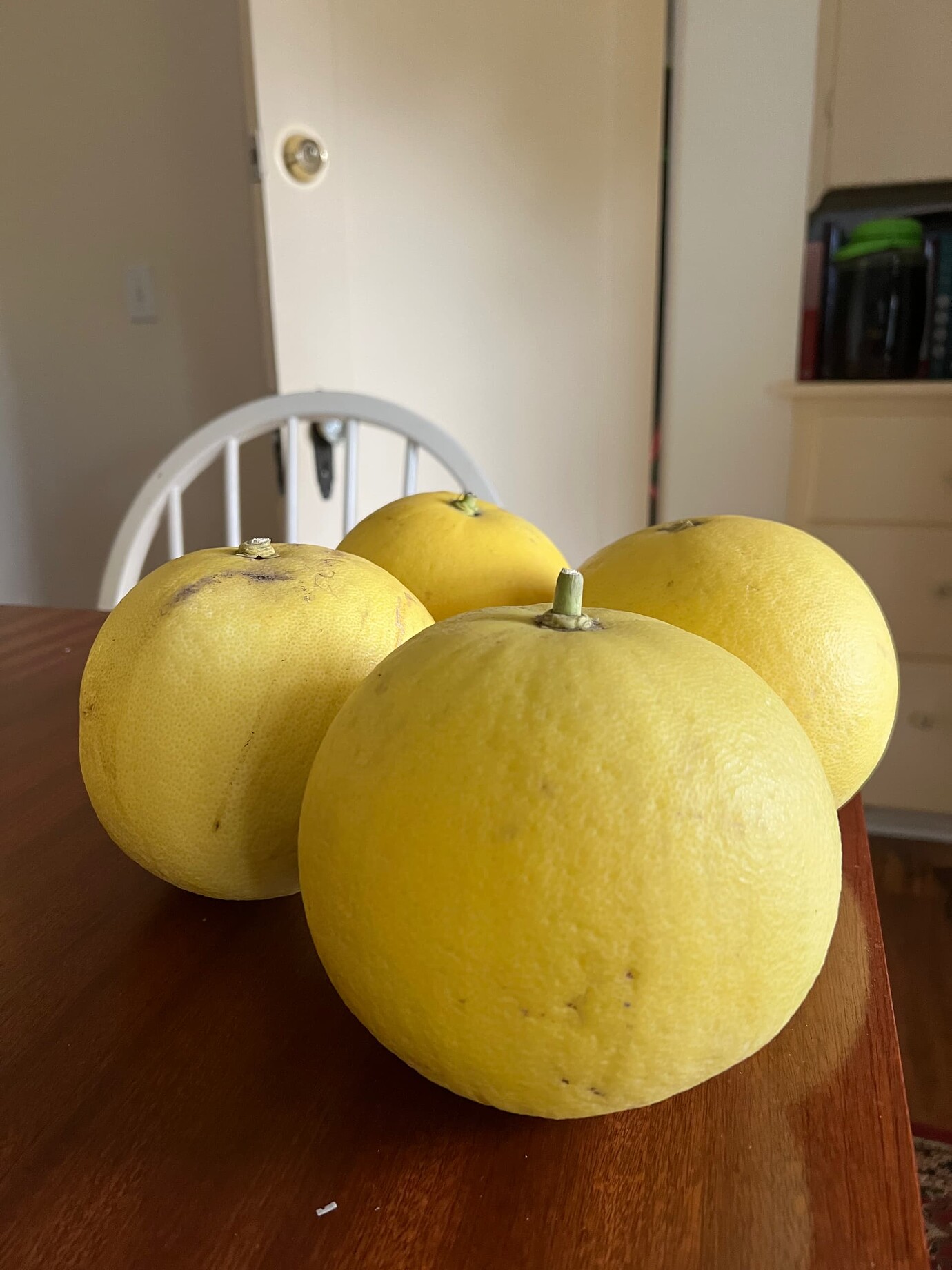 Pomelo variety comparison - General Fruit Growing - Growing Fruit