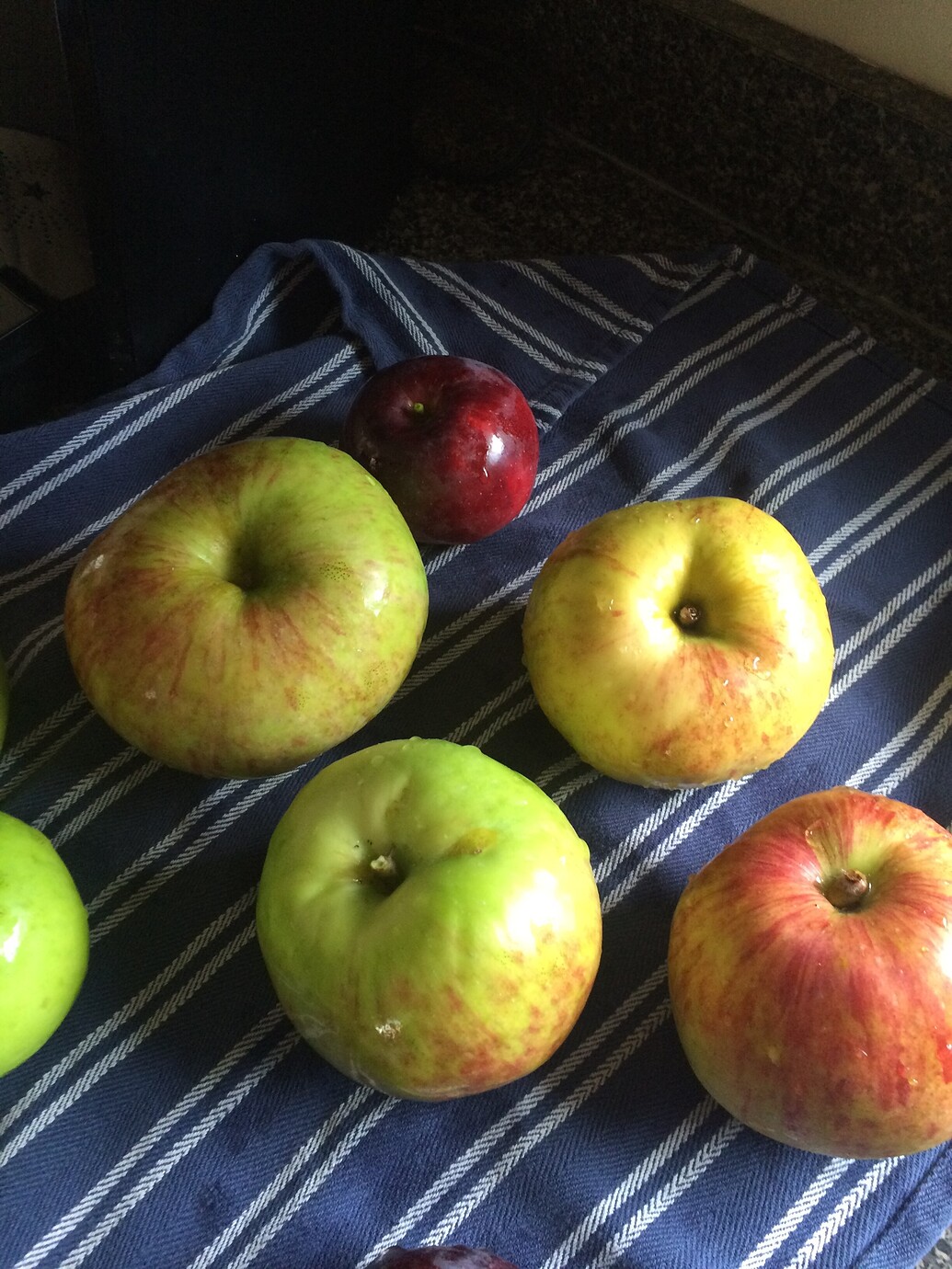 Best tasting apples - General Fruit Growing - Growing Fruit