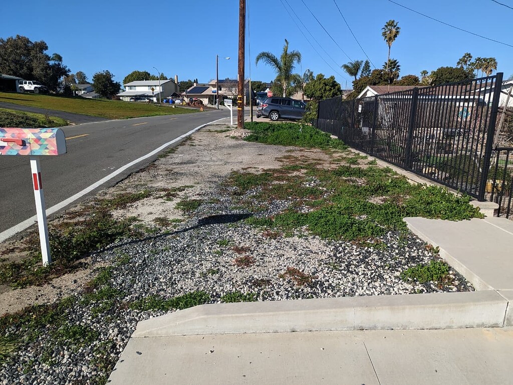 Front strip native plant project - General Gardening - Growing Fruit