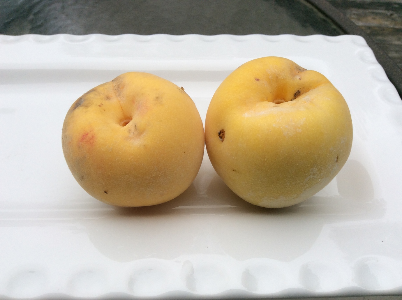 Peach variety, which one is this? - General Fruit Growing - Growing Fruit
