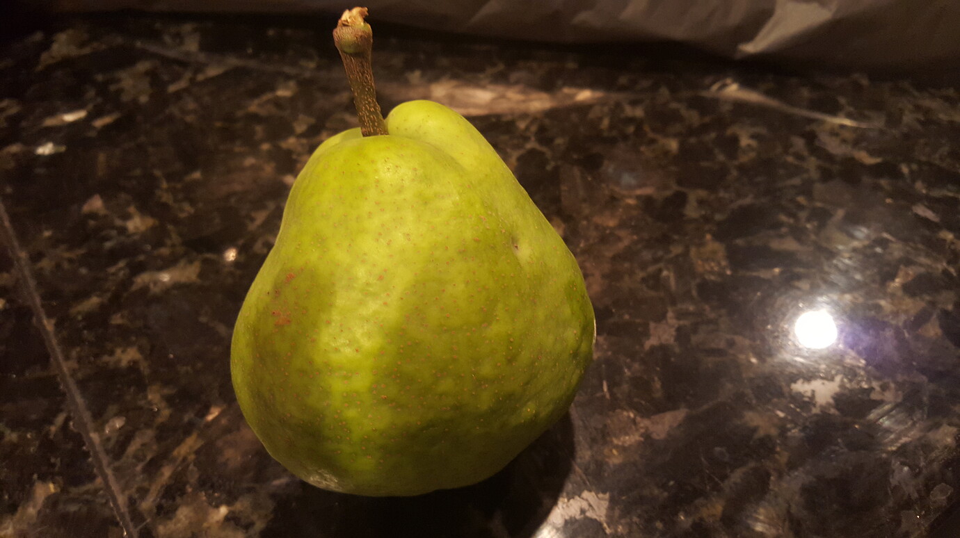 Tennoshui pear - General Fruit Growing - Growing Fruit