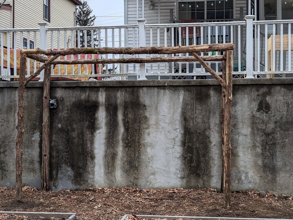 Grape Arbor Planting Questions - General Fruit Growing - Growing Fruit