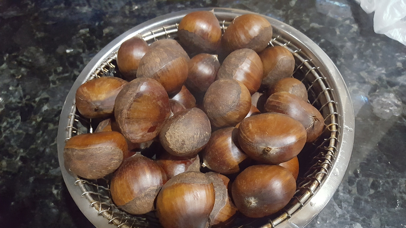 Giant Chestnuts - General Fruit Growing - Growing Fruit