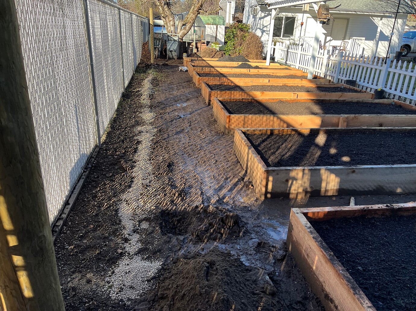 Oblique Cordon Project - General Fruit Growing - Growing Fruit