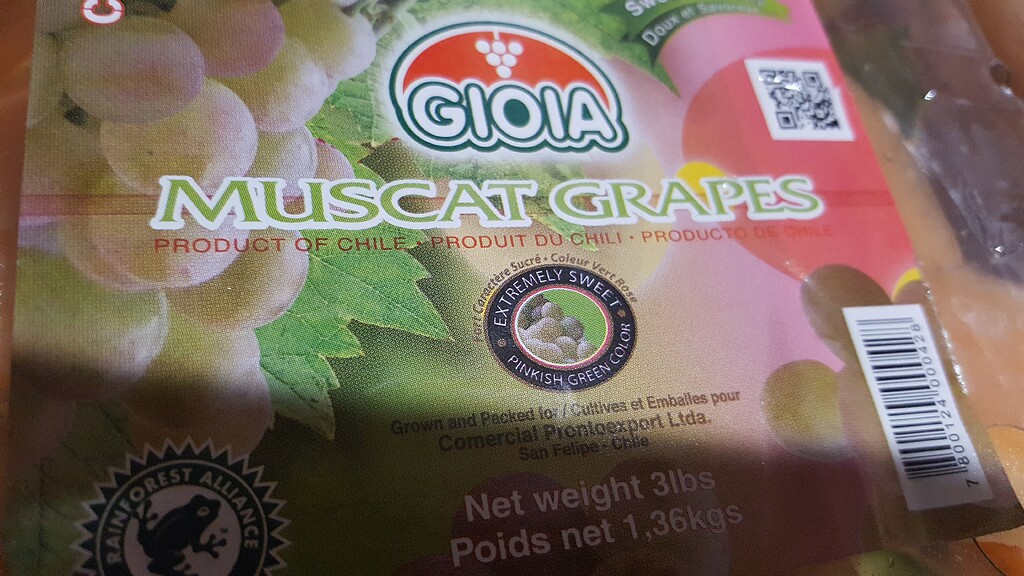 Muscat grapes - General Fruit Growing - Growing Fruit