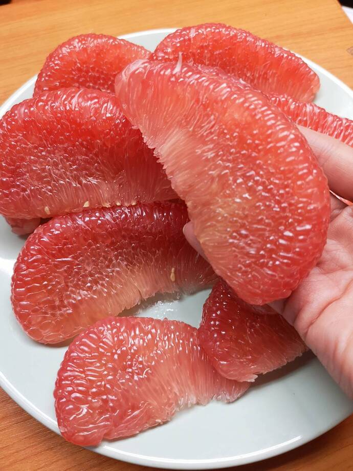 Pomelo variety comparison - Page 2 - General Fruit Growing - Growing Fruit