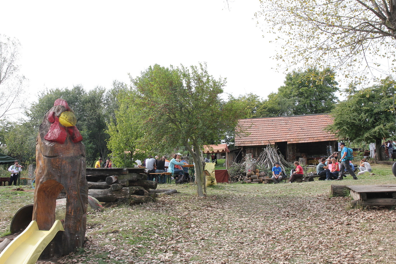 True service tree (Sorbus Domestica) - Pictures! - Growing Fruit