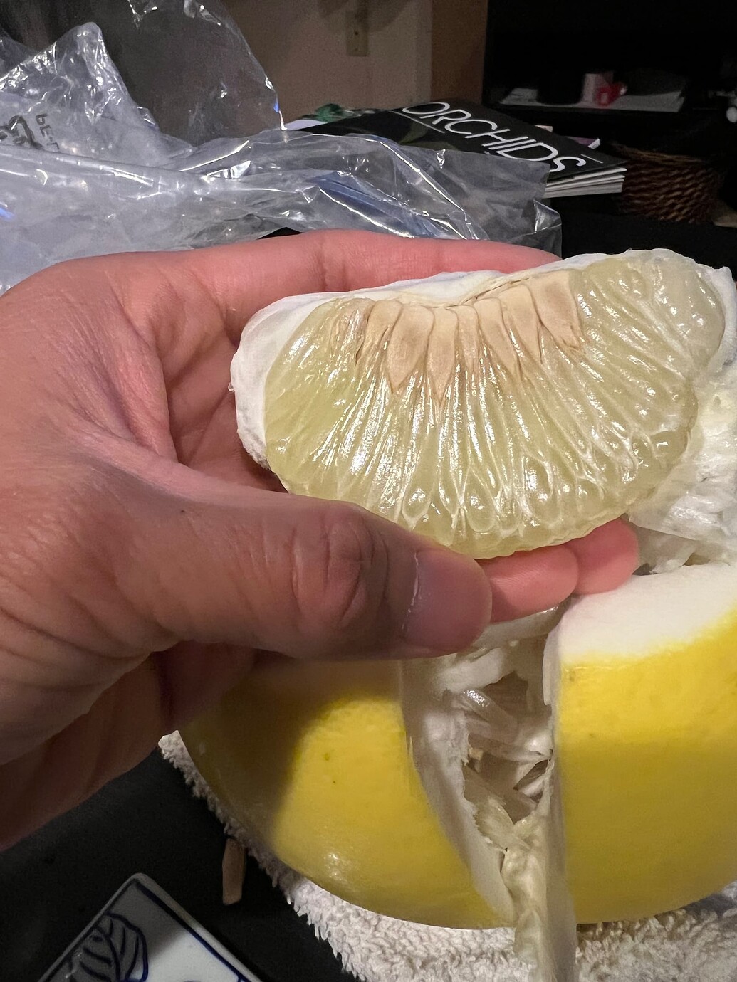 Pomelo variety comparison - General Fruit Growing - Growing Fruit