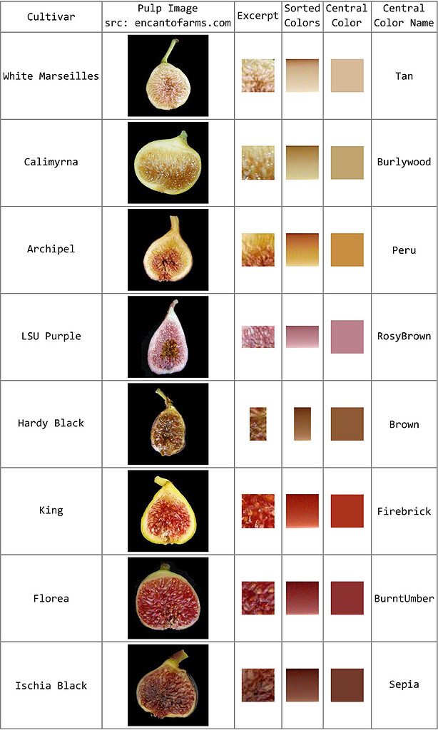 Fig pulp and skin colors - General Fruit Growing - Growing Fruit