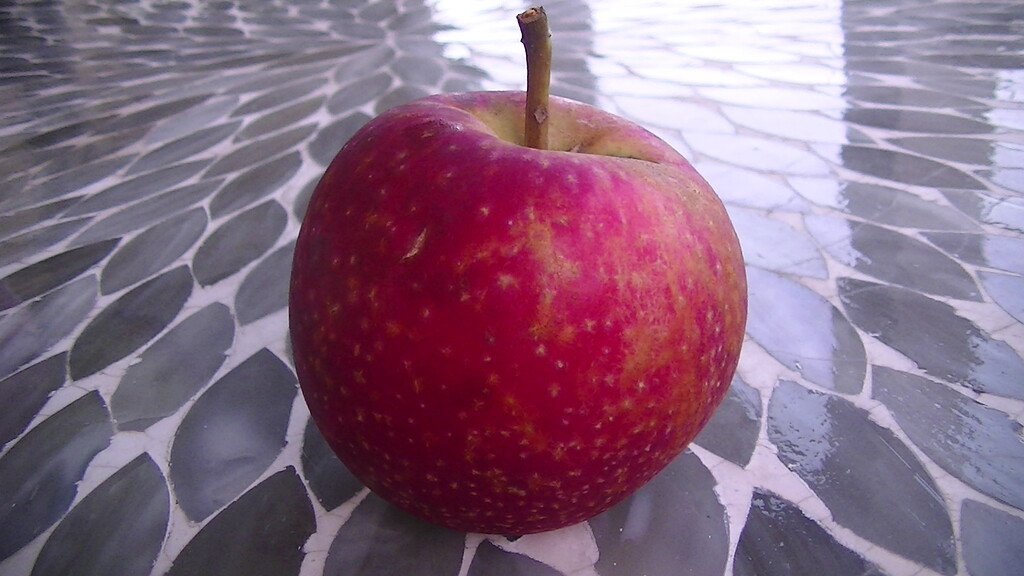 Summerred apple - General Fruit Growing - Growing Fruit