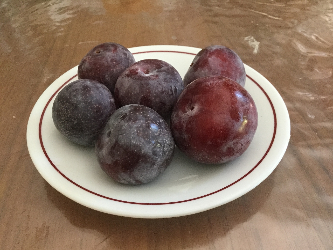 Methley Plum my first harvest z5b New York - General Fruit Growing ...
