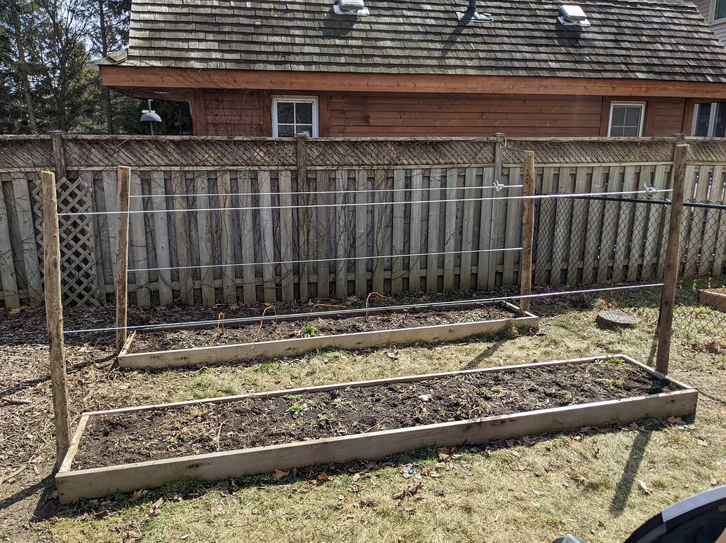 Raspberry Trellis Systems - Pictures! - Growing Fruit