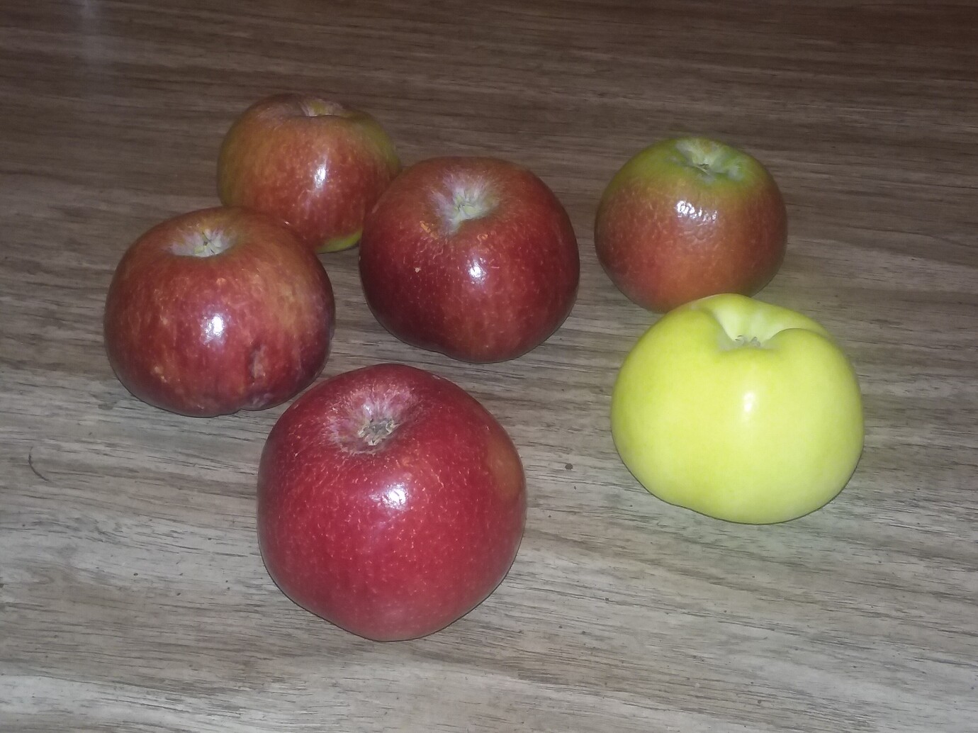 A few early apples - Pictures! - Growing Fruit
