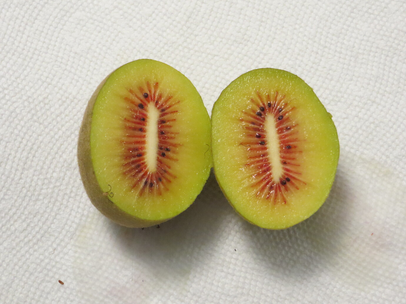 Red/gold and red/green kiwi fruit has made it to the US - General Fruit ...
