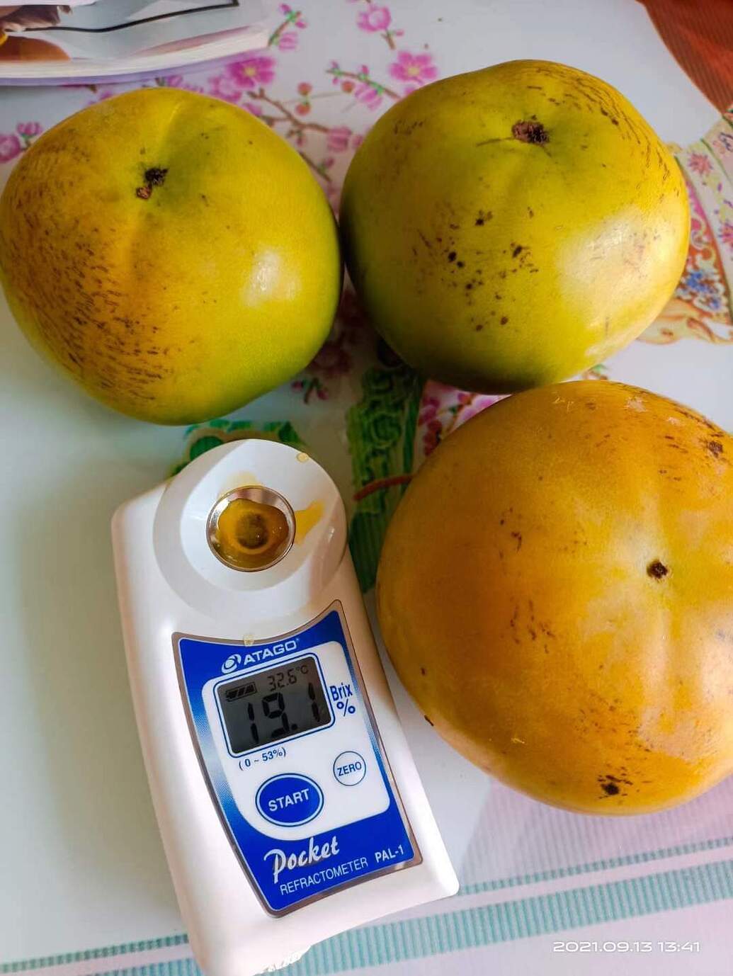 Anybody growing Taishu in the U.S.? - General Fruit Growing - Growing Fruit