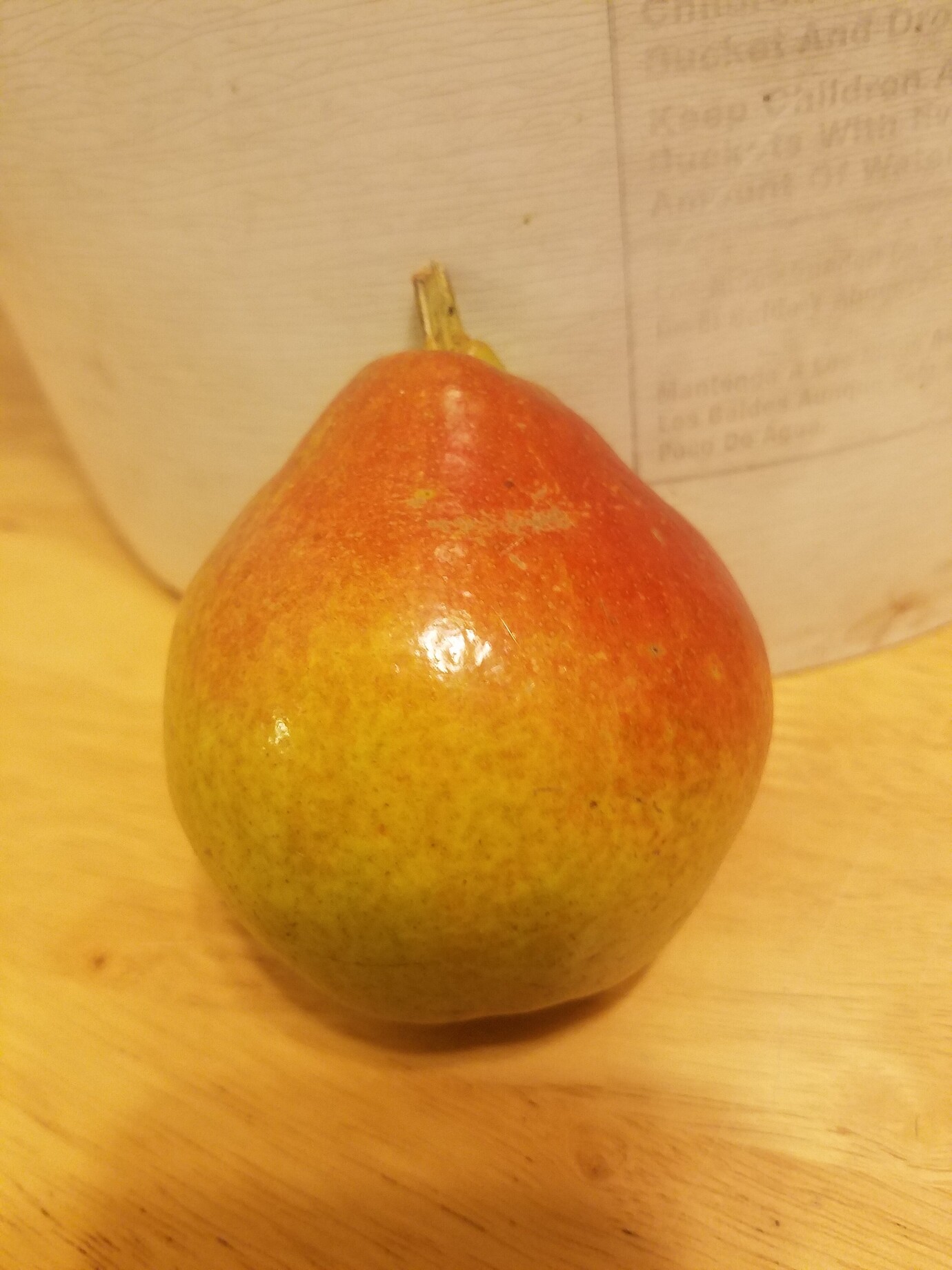 Clapps favorite pear - General Fruit Growing - Growing Fruit
