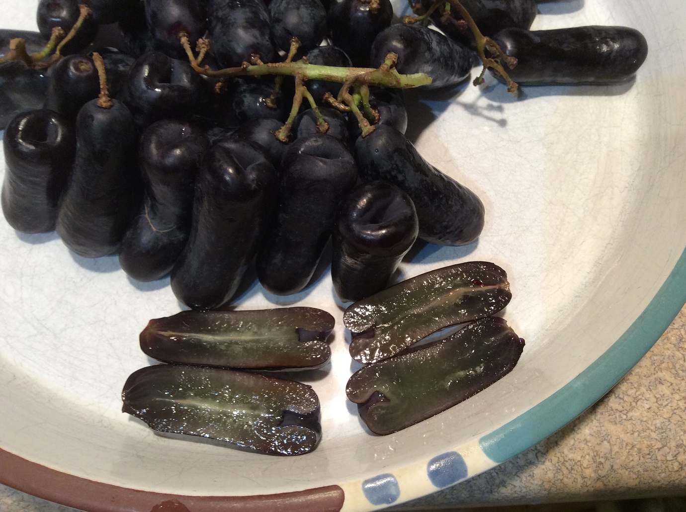 Moon Drop grapes - General Fruit Growing - Growing Fruit