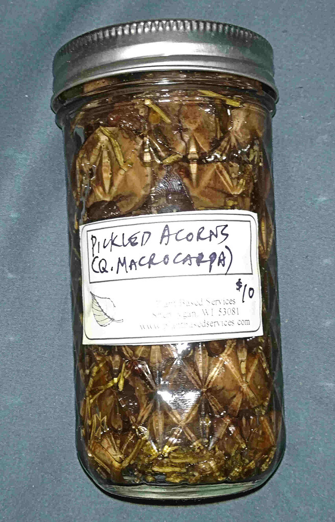Pickled Acorns - Fruit in the Kitchen - Growing Fruit