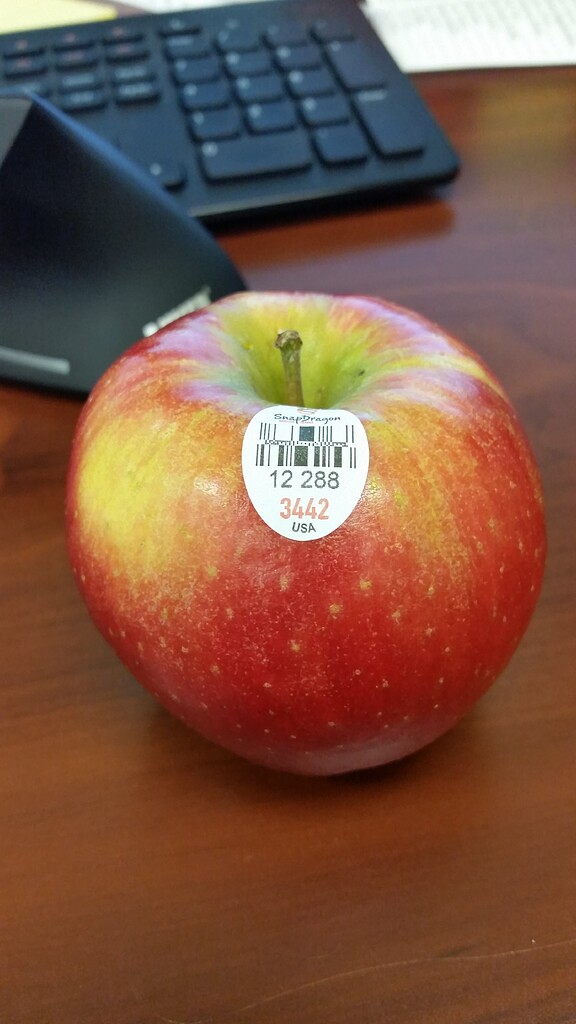 Snapdragon - General Fruit Growing - Growing Fruit