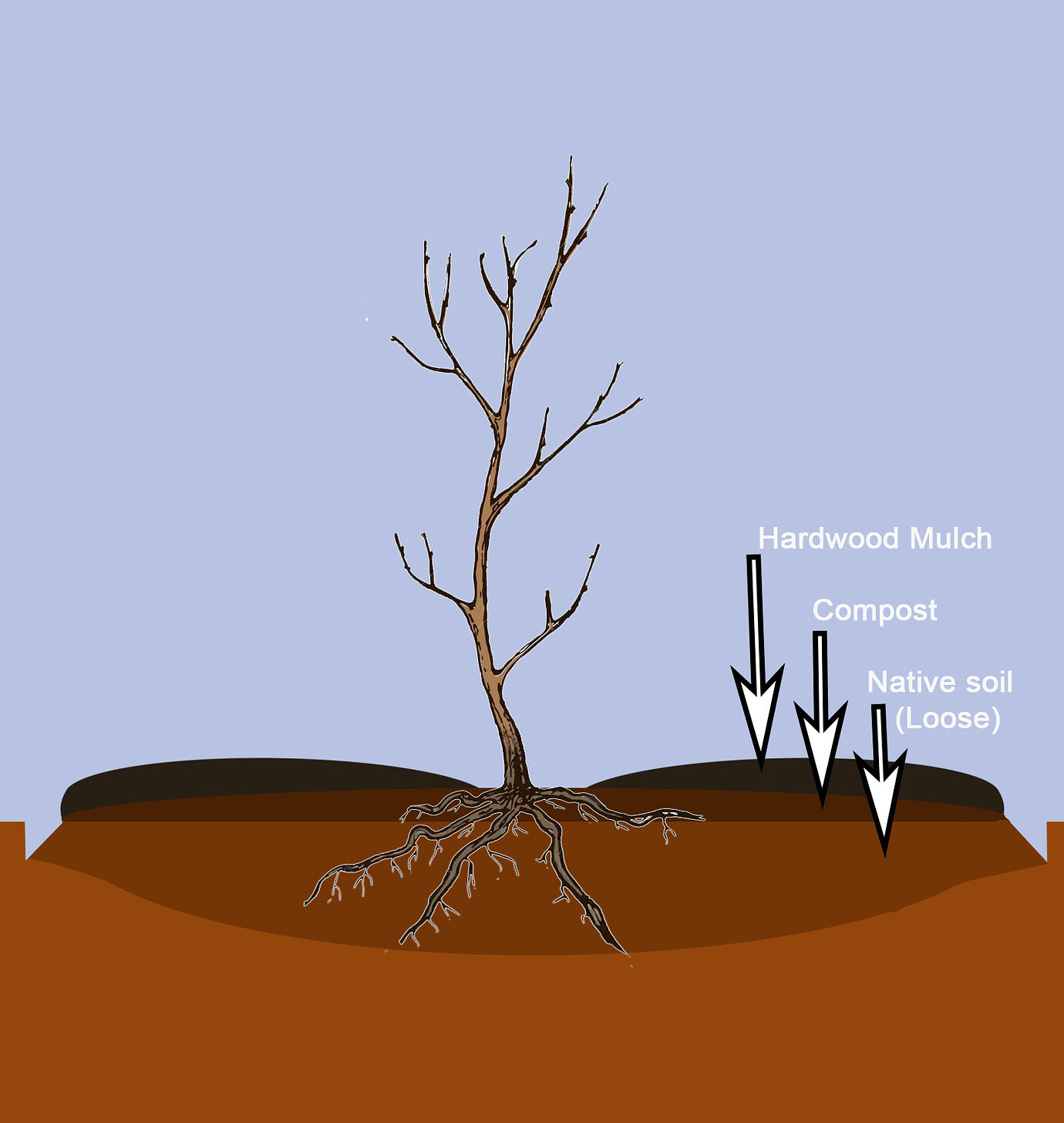 My soil analysis vs planting fruit trees - General Fruit Growing ...