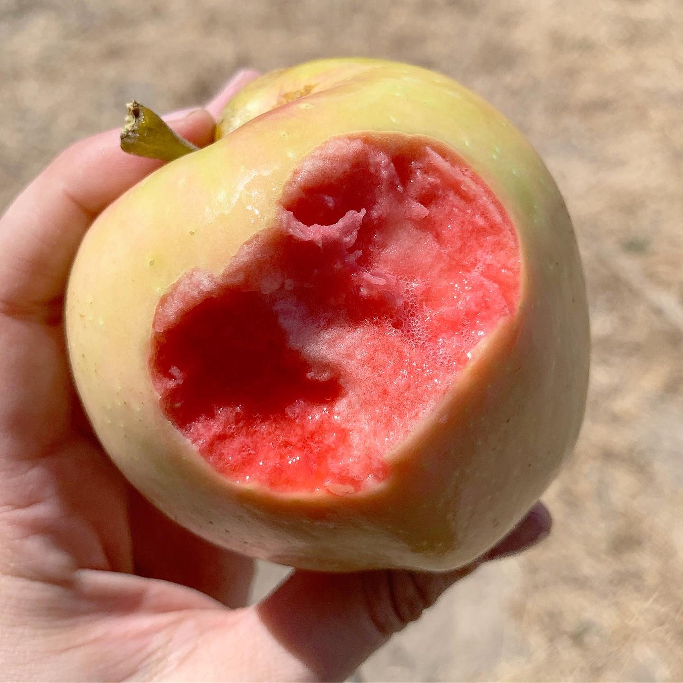 Unusual apples I've found in shops - Pictures! - Growing Fruit