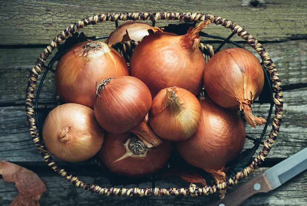 The best onions for storage - General Gardening - Growing Fruit