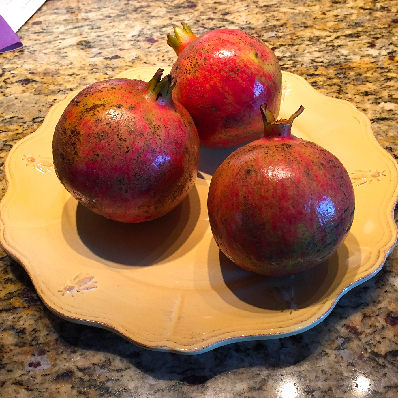 Pomegranate Success! in Mid-Atlantic. I live in Chesapeake VA, which is ...